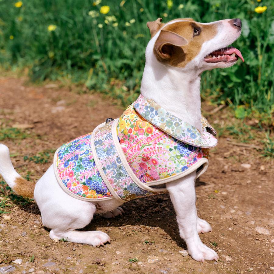 FC DOG COAT Floral Couture Dog Coat by KURT GEIGER LONDON